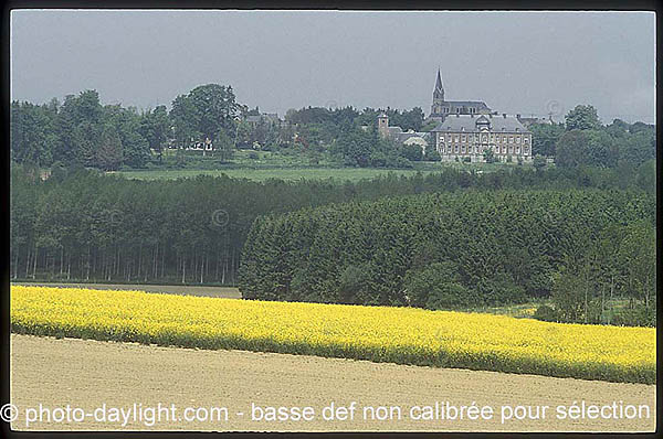 Photo Daylight Website