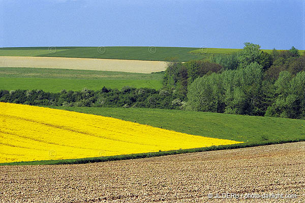 Photo Daylight Website