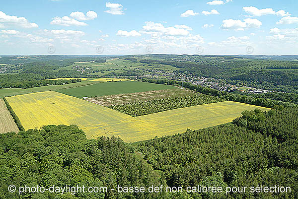 Photo Daylight Website