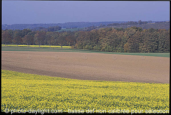 Photo Daylight Website