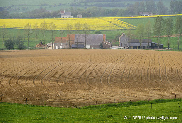 Photo Daylight Website