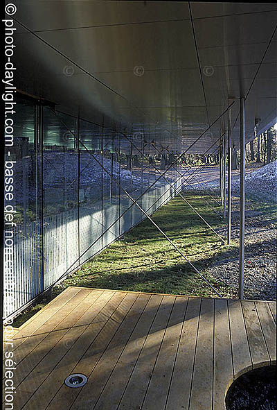 Photo Daylight Website